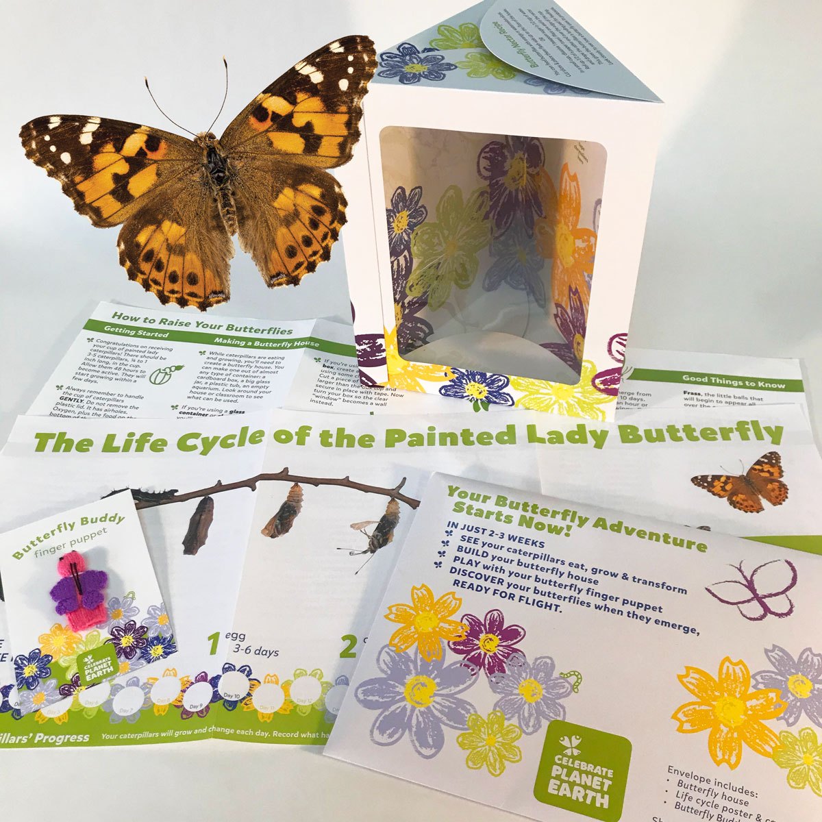 basic-butterfly-kit-1 | Celebrate Planet Earth