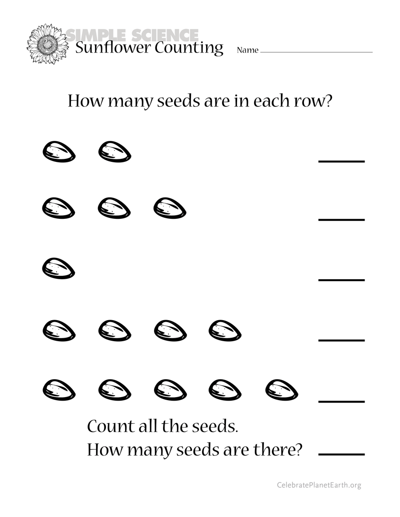 Sunflower Activities | Celebrate Planet Earth